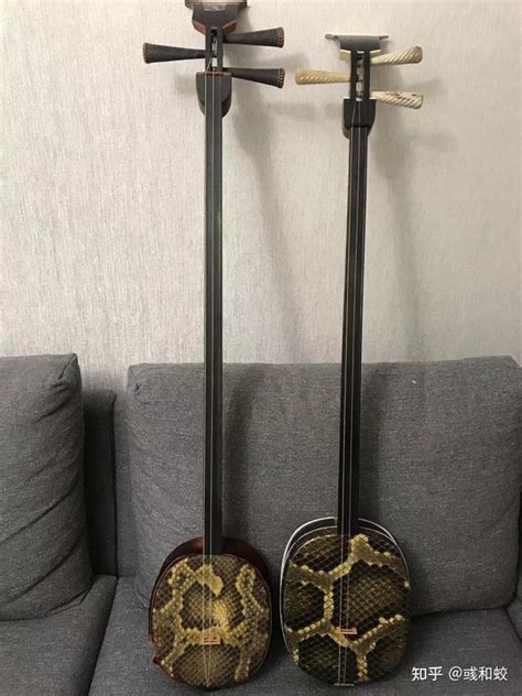 第五篇关于三弦的介绍曲艺三弦和民乐三弦的区别 知乎