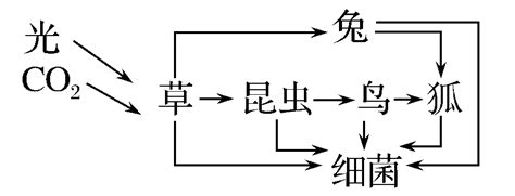 高考复习必修三第二单元第三讲生态系统的结构 Word文档在线阅读与下载 免费文档