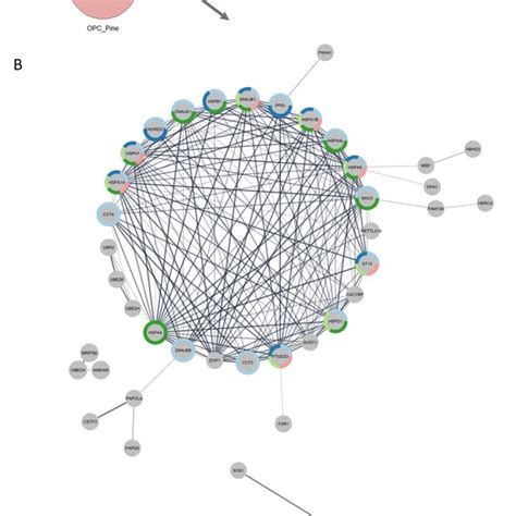 Shared Cluster Markers Of Populations Upregulated In Hd A Venn Download Scientific Diagram
