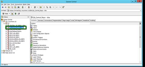 Sap Data Integrator Configure Repositories For The Development Cycle