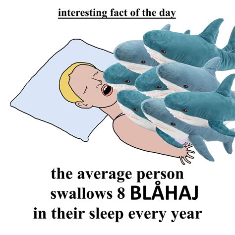 7922 Best Blahaj Images On Pholder Blahaj 196 And Traaaaaaannnnnnnnnns2