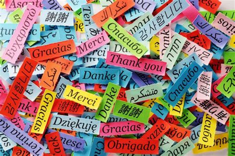 How Learning An Extra Language Can Benefit You In Life The Campus