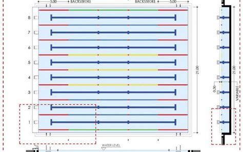 Swimming Sylvain Lesage Observable