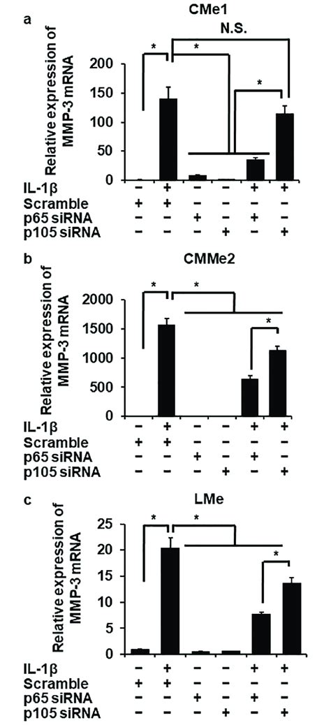 Attenuation Of Il 1β Induced Mmp 3 Mrna Expression In Other Sets Of Download Scientific Diagram