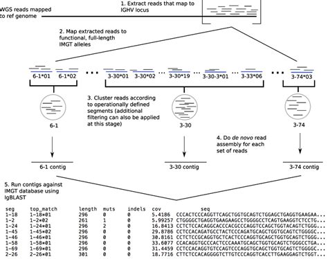 Schematic Of Genotyping Pipeline 1 Wgs Reads Short Thin Black