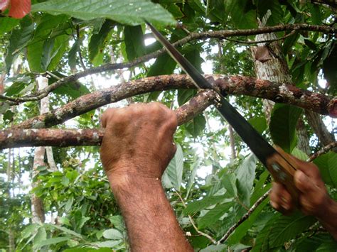 Cpb CocoaPinasBlogs April 2011