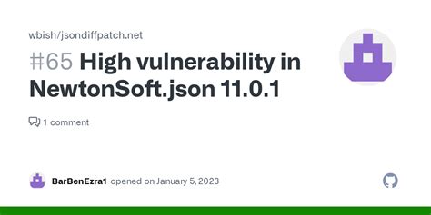 High Vulnerability In Newtonsoftjson 1101 · Issue 65 · Wbish · Github