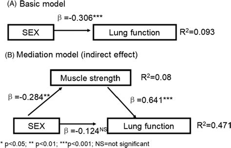 The Structural Model Of Sex On The Relationships Between Pulmonary