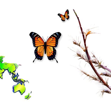 Download Butterfly Migration Map Png 04292024