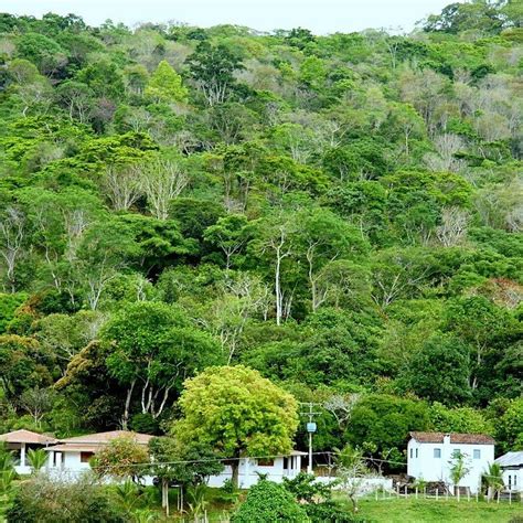 Hotel Princesa Ester Reviews Photos