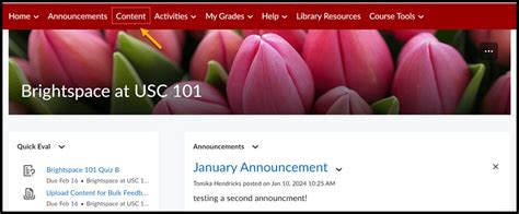 Organize Your Course Materials Via Modules And Sub Modules Usc Brightspace Help
