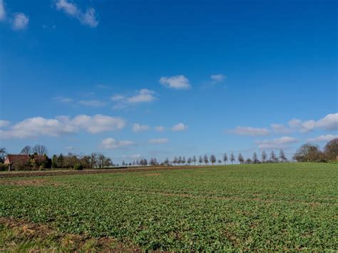 맑은 푸른 하늘이 있는 시골 들판 · 무료 스톡 사진