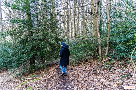 Пътеката Приказка за Мелида духът на гората