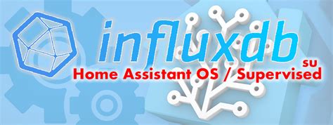 Installare E Configurare Influxdb Su Home Assistant Os Indomusit