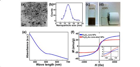 Characterization Of The Synthesized Fe 3 O 4 Au Core Shell Nps A B Download Scientific