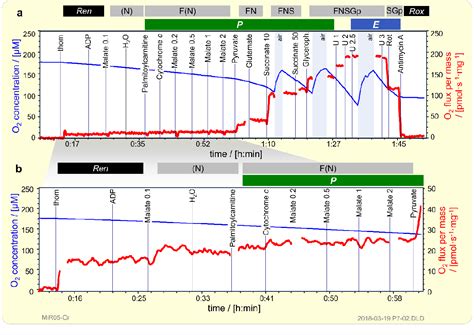 Figure 2 From Fatty Acid β Oxidation In Brain Mitochondria Insights From High Resolution