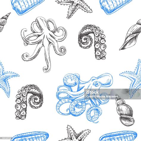 조개껍데기 문어 문어 촉수 이음새가 없는 패턴 손으로 그린 스케치 그림입니다 흰색 배경에 격리된 사실적인 바다 생물 모음입니다