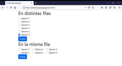 Form Controles Checkbox Y Radio