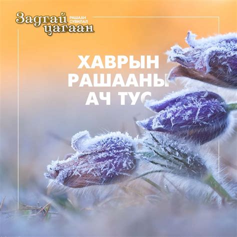 Задгай Цагаан Рашаан сувилал