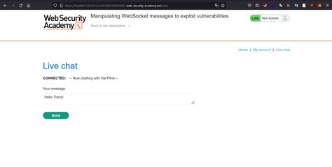 Web Socket Vulnerabilites