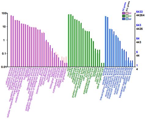联合分析专题（二）：转录组 蛋白质联合分析的研究思路 武汉灵思生物技术有限公司