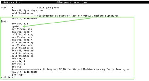 Docker Assembly Code Cpuid Leaf For Virtualized Container Signatures Detection Stack Overflow