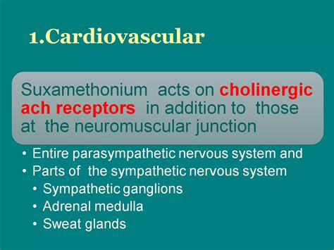 Neuromuscular Blocking Agents Ppt