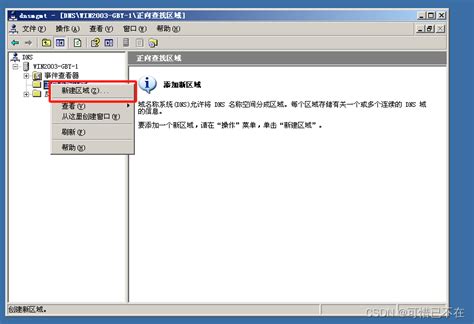 windows server 2003 dns服务器搭建
