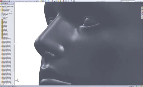 3d Human Cad Models For Solidworks Rhino And More Solidsmack