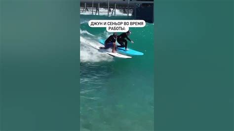 программирование программист разработчик команда джун Youtube