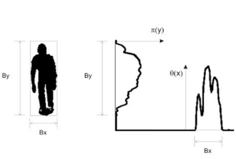 Vertical And Horizontal Projection Histograms Of A Sample Blob Download Scientific Diagram