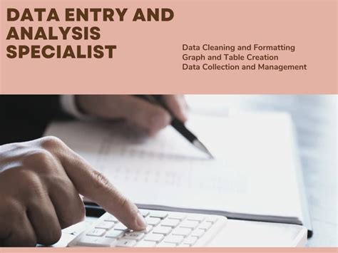 Professional Excel Data Entry Cleaning Formatting And Dashboard Upwork