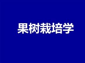 果树栽培学 第二章果树基本结构课件 20230730 ppt 人人文库