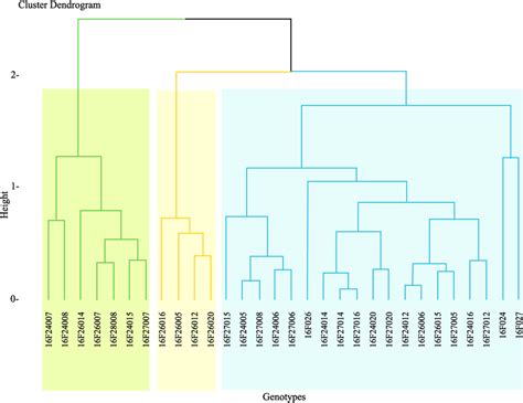 Cluster Analysis With Agronomic Data From Total Dry Matter Forage Download Scientific Diagram