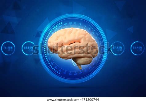 3d Rendering Human Brain Stock Illustration 471200744 Shutterstock