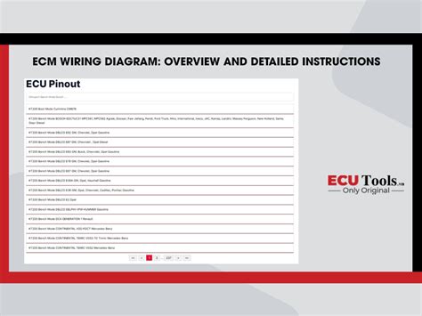 Pinout Lookup A Comprehensive Guide To Ecu Pinout Diagrams Ecutools
