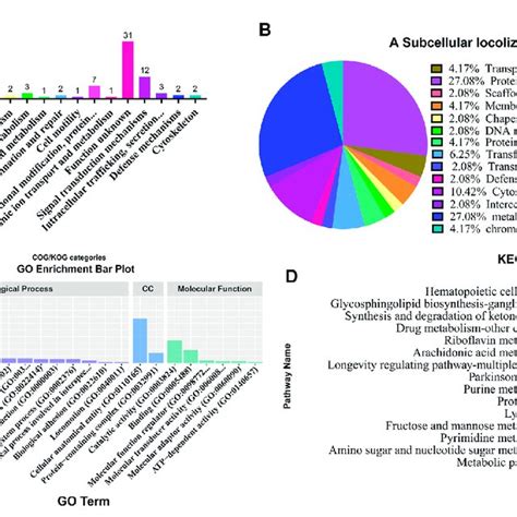 Classification And Enrichment Analyses Of Different Deps From Tmt Download Scientific Diagram