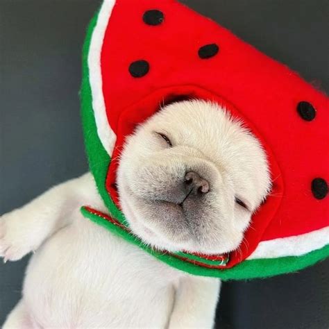 Story Scrolls YouTube