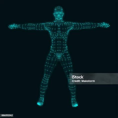 검은 배경에 인체의 추상적인 벡터 일러스트 인체에 대한 스톡 벡터 아트 및 기타 이미지 인체 3차원 형태 가득 찬 Istock
