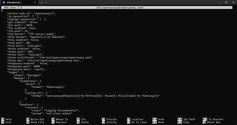 Honeypot Using Raspberry Pi And Opencanary Securityboat Workbook