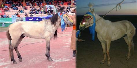 Эцэг хүн гэдэг үр хүүхдийнхээ дутууг нь гүйцээж дундуурыг нь дүүргэж алдааг нь залруулж байдаг