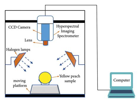 Schematic Illustration Of The Hyperspectral Imaging System Download Scientific Diagram