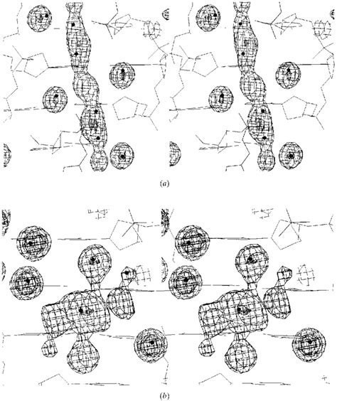 Predicted Water Density And Actual Water Positions Dots In The Download Scientific Diagram