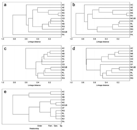Hierarchical Tree Made By Single Linkage Clustering Of Nei Distances Download Scientific