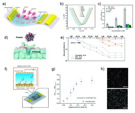 A Schematic Of The Aptamer Functionalized Graphene Fet Biosensor B