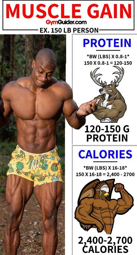 The Six Week Lower Body Workout For Ultimate Gains And Quad Size Lower Body