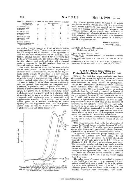 Pdf Ti And λ Phage Adsorption On Protoplast Like Bodies Of Escherichia Coli Dokumen Tips