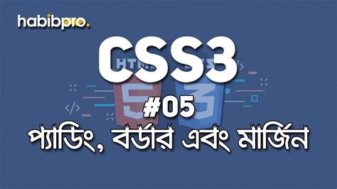 Padding Border And Margin Css3 Tutorial 05 Bangla Tutorial Web