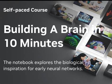 Building A Brain In 10 Minutes Coursya