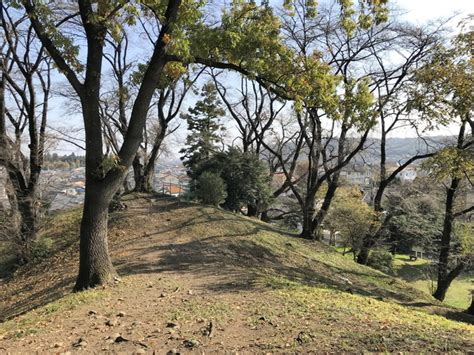 観音塚古墳 名所観光地 高崎市 ぐんラボ